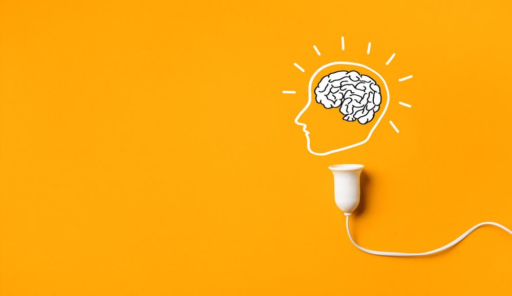 The information processing cycle: How to boost learning